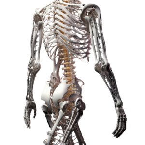 AOSYS – Orthopedic Implants Manufacturers in India